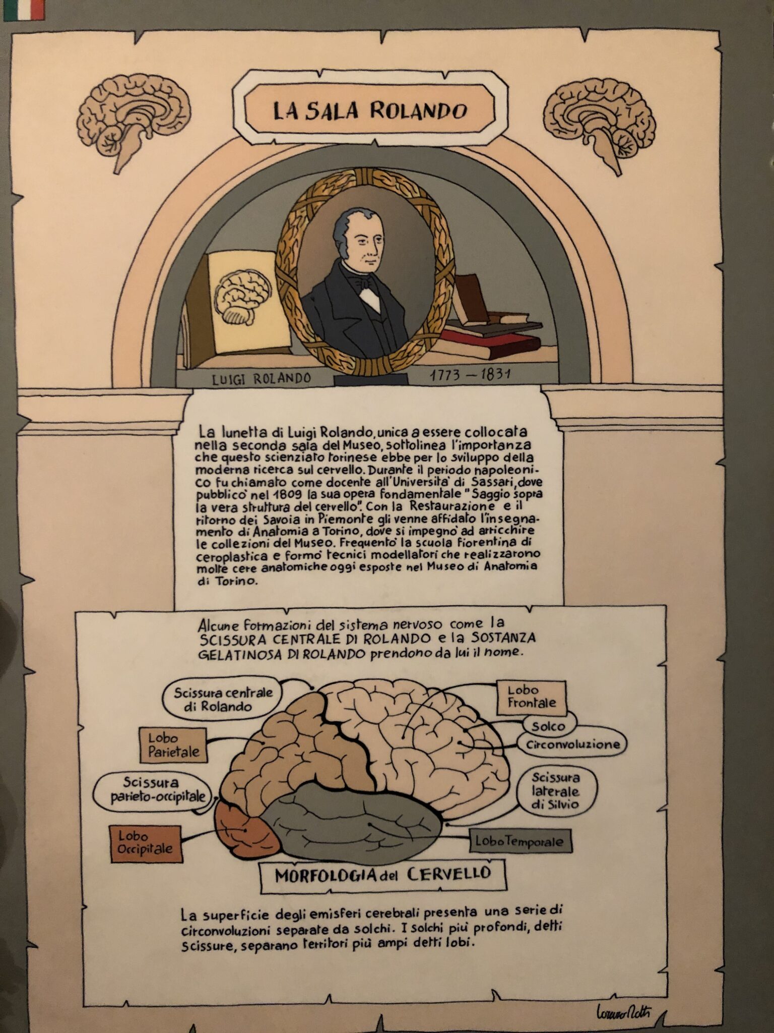 Museo di Anatomia Umana Luigi Rolando - [ Il Granchio in Frack ]